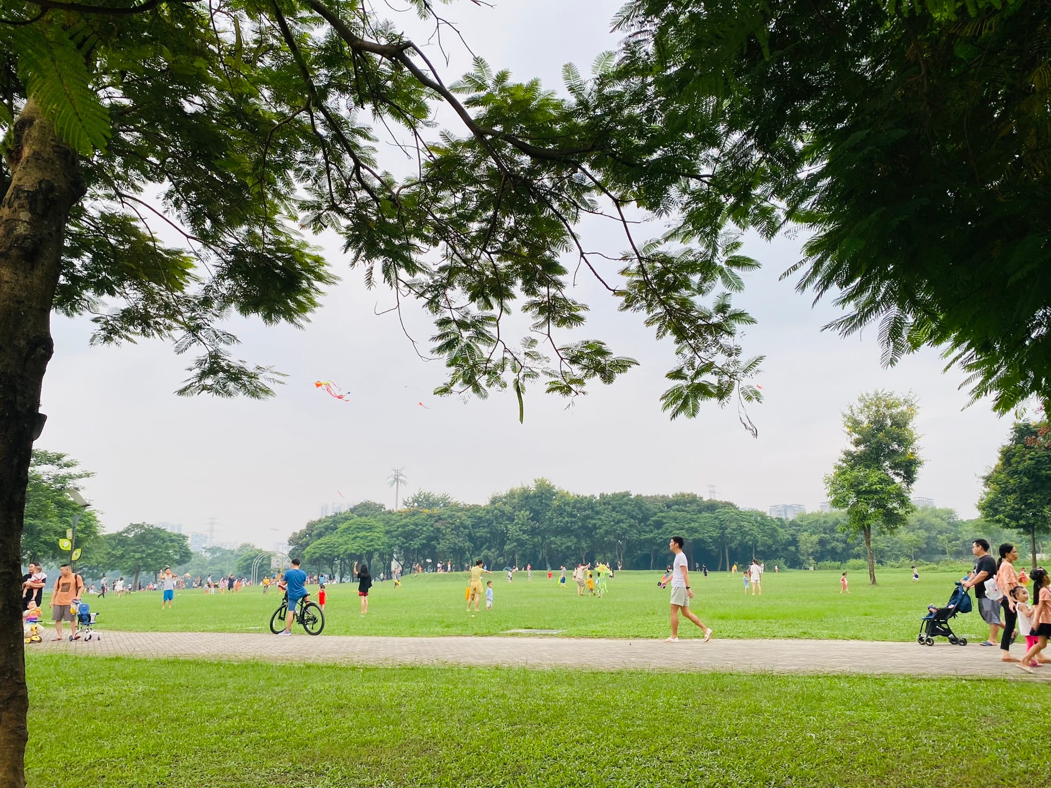 10+ Best Parks in Hanoi Worth Visiting (Local Guide)